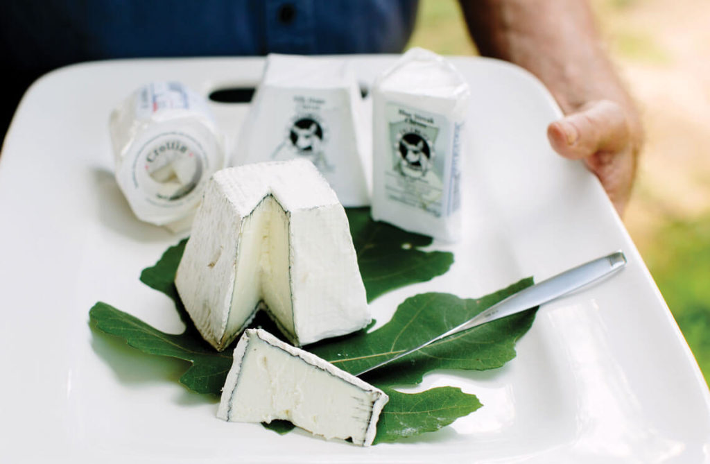 Photo Essay: Cheese Please! | Our State