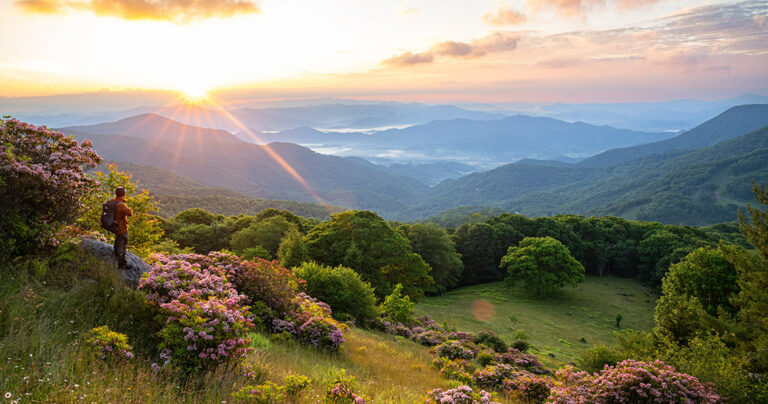 Forests, Swimming Holes, and Festivals: A Summertime Guide to Haywood ...