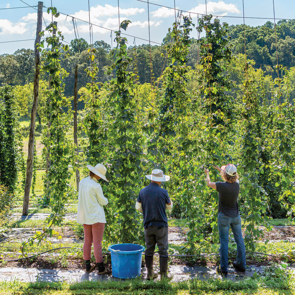 North Carolina’s New Breed of Beer | Our State