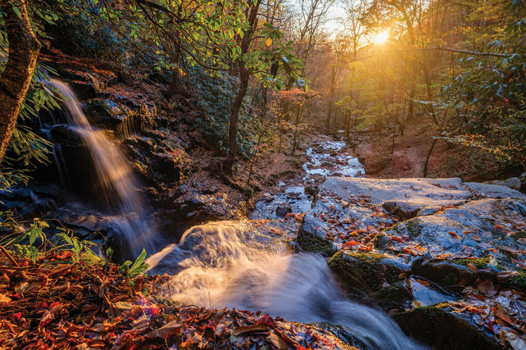 The Cherokee Way | Our State