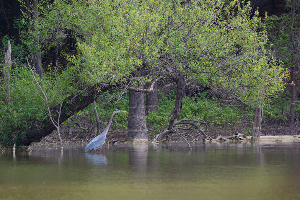 8 Ways to Play at Jordan Lake | Our State